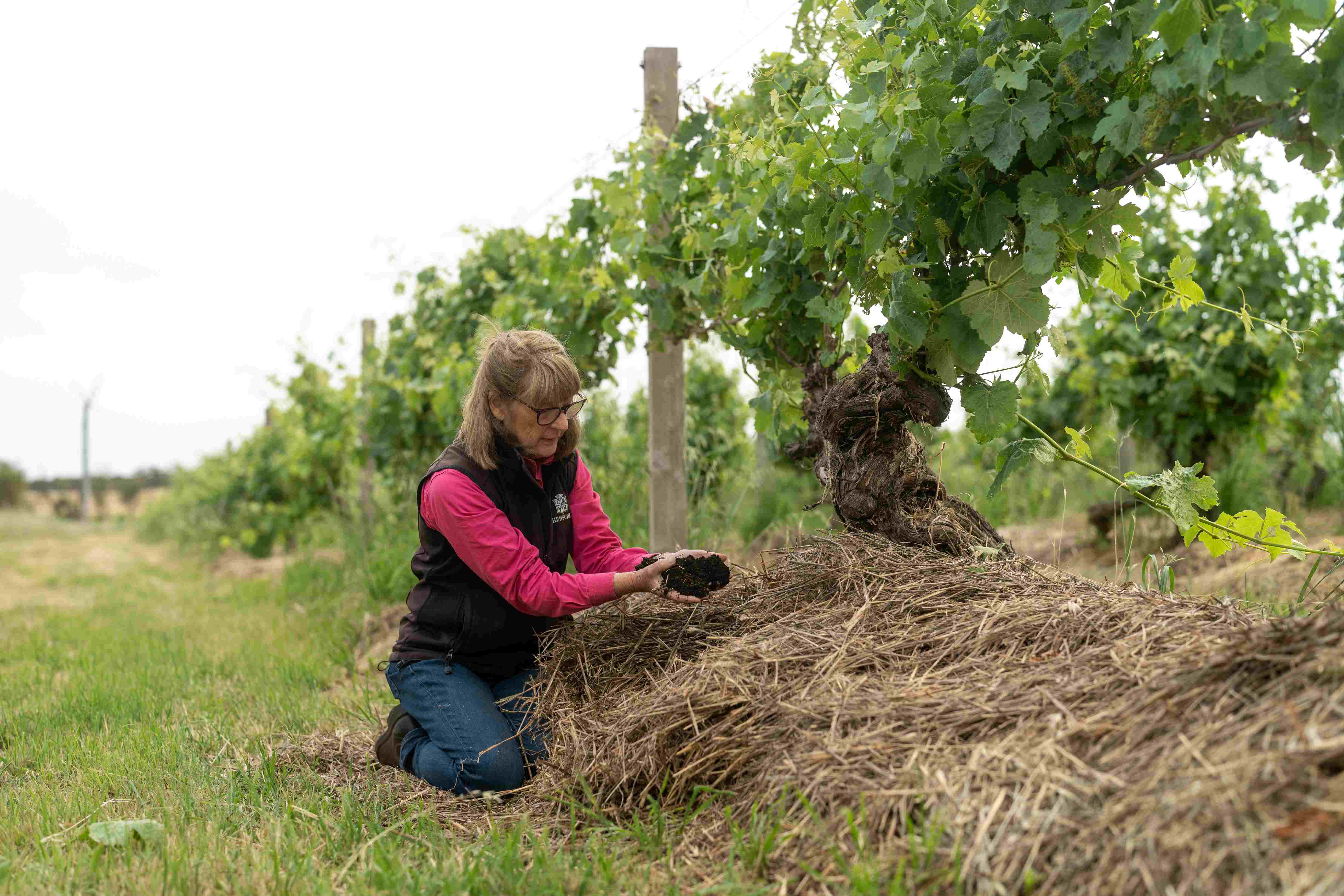 Triumph in challenging year – Ray Jordan Wine