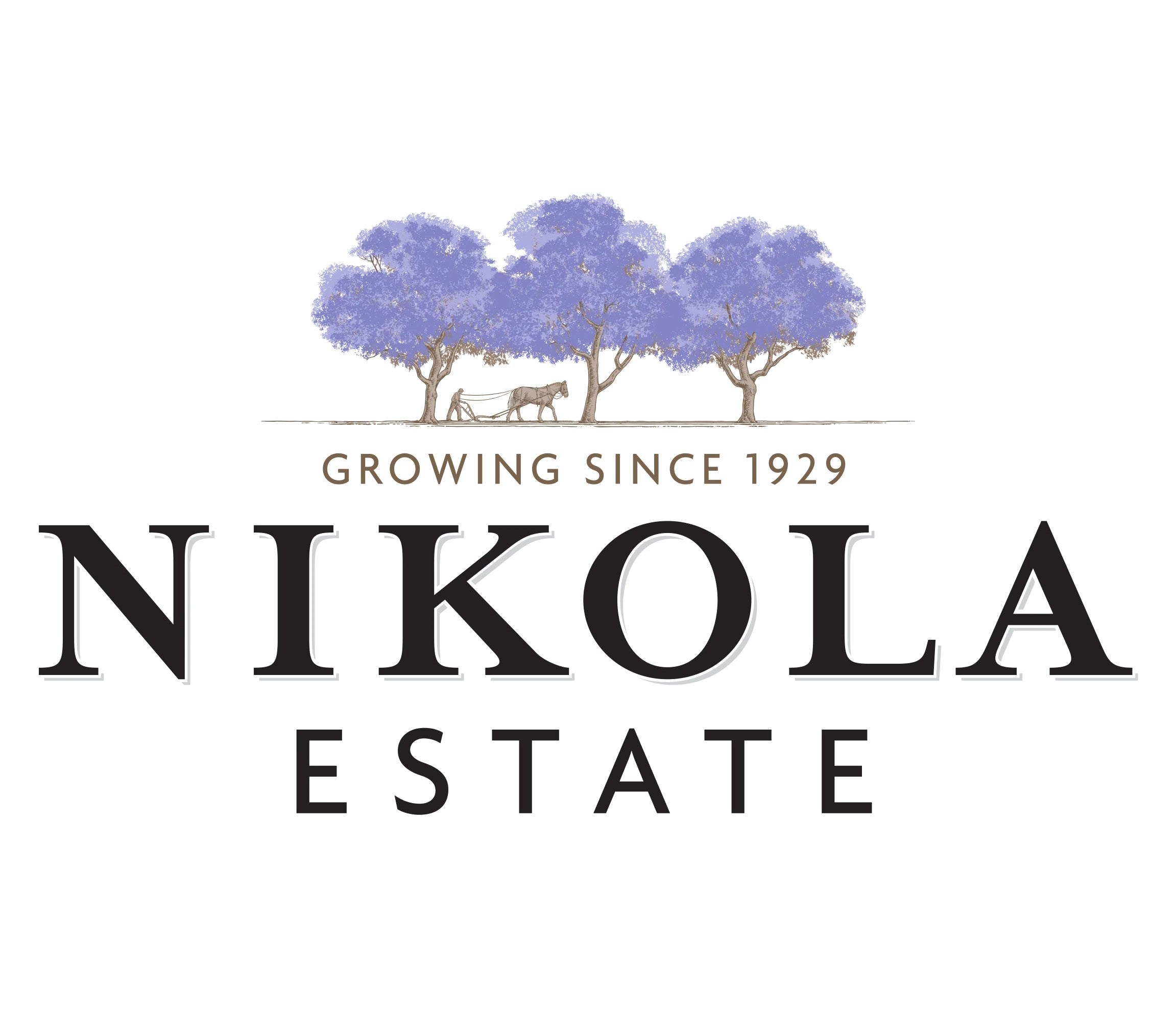 Nikola Estate – Ray Jordan Wine